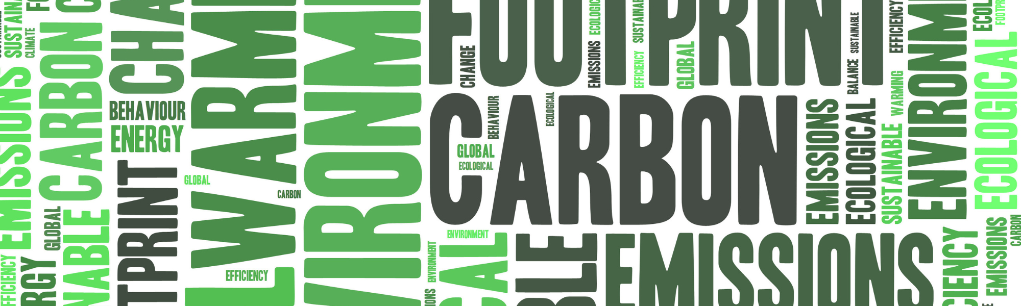 Ways Organizations can help Reduce Carbon Footprint Ways Organizations can help Reduce Carbon Footprint