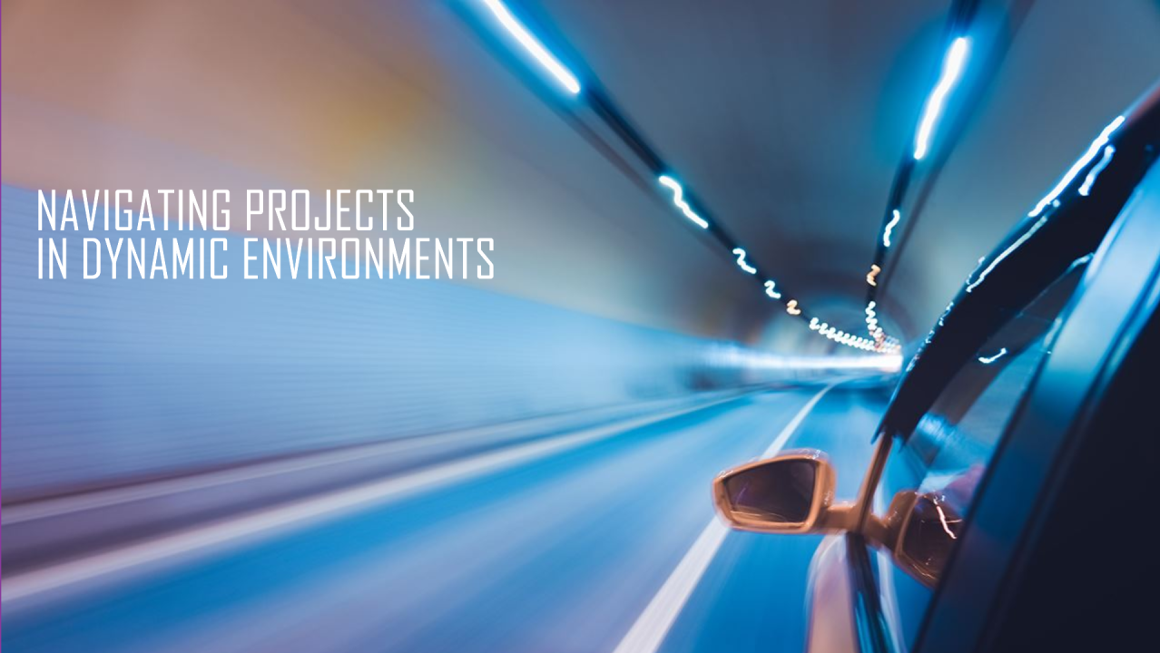 Navigating Projects in Highly Dynamic Environments Navigating Projects in Highly Dynamic Environments