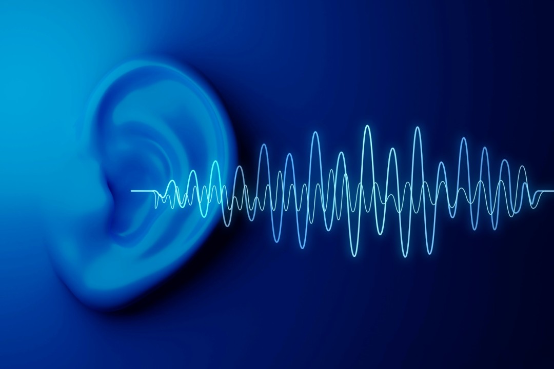 Preserving Sound Health: Tackling Hearing Loss Challenges in the Dental ... Preserving Sound Health: Tackling Hearing Loss Challenges in the Dental ...