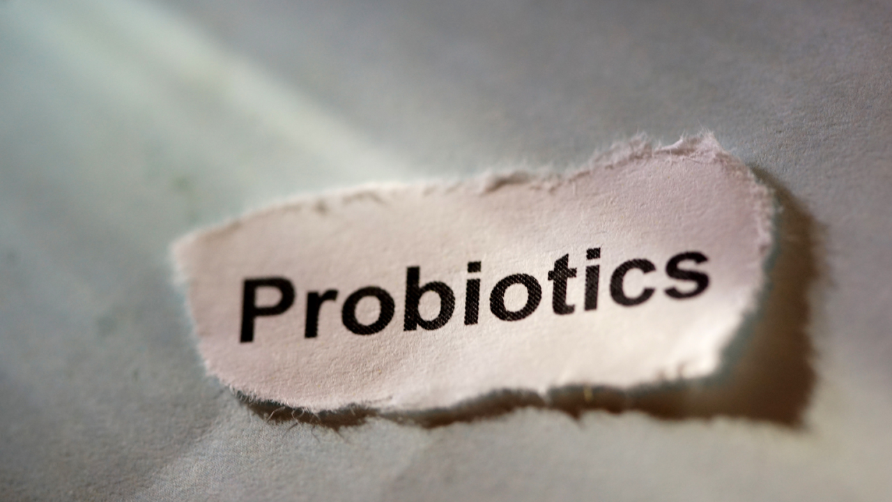 The Ultimate Guide to Using Probiotics in Haircare The Ultimate Guide to Using Probiotics in Haircare