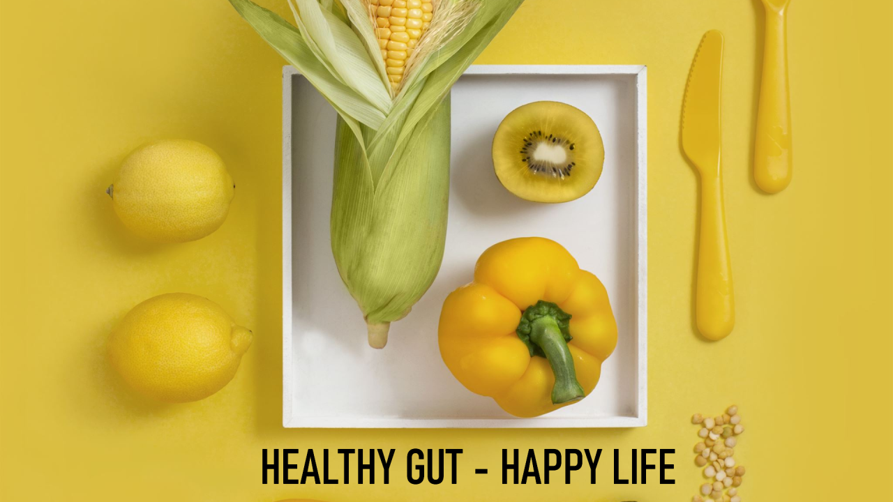 Understanding a Healthy Gut Understanding a Healthy Gut