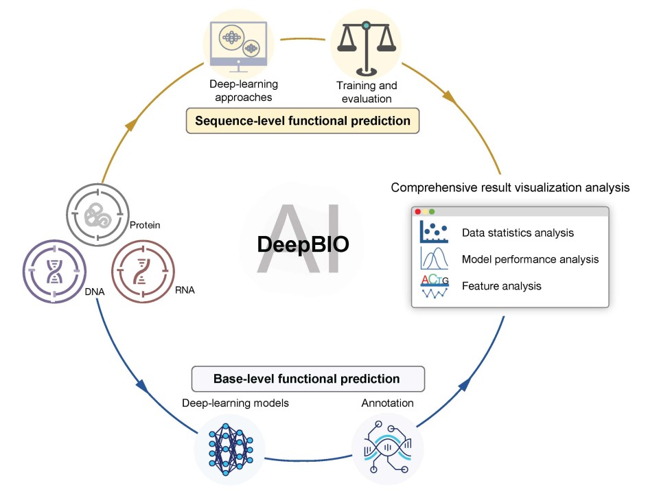 DeepBIO: a deep-learning platform for high-throughput biological ... DeepBIO: a deep-learning platform for high-throughput biological ...
