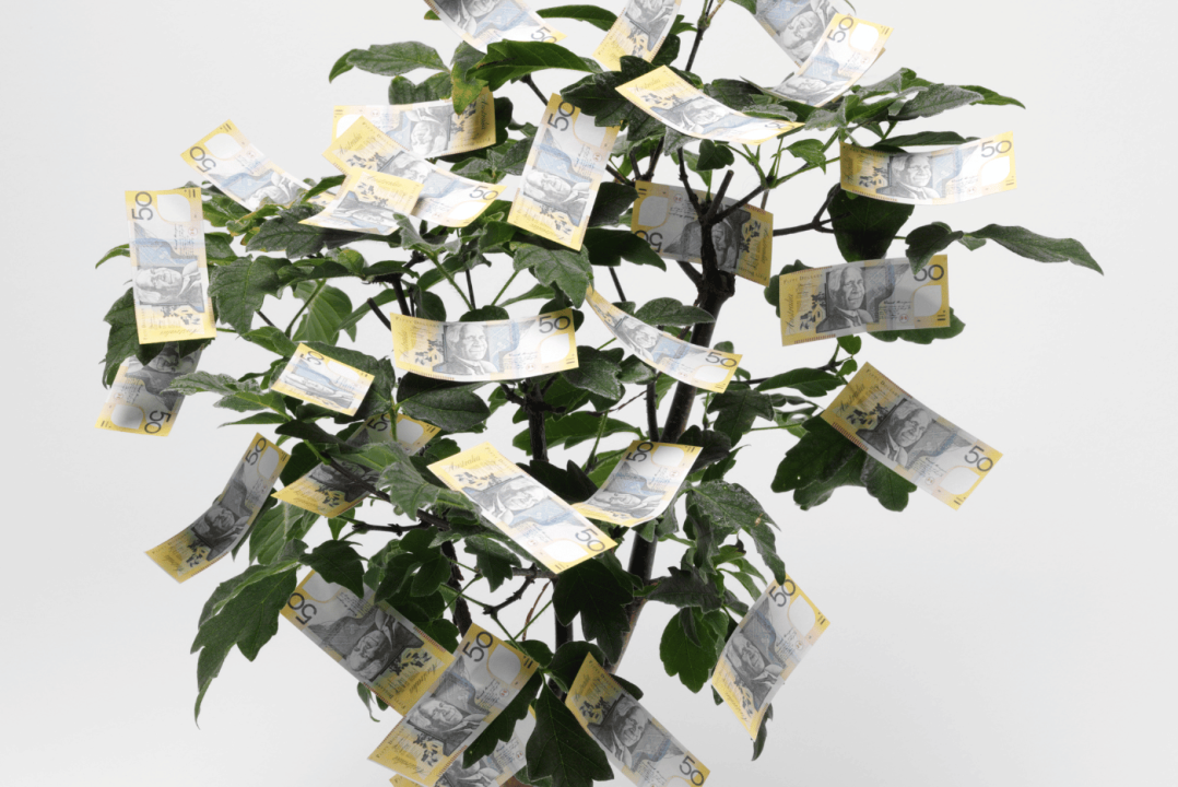 Spring into Financial Success Spring into Financial Success