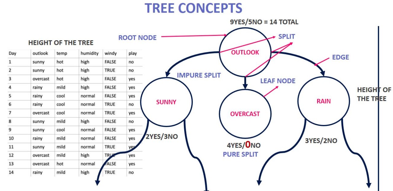Secrets of Decision Trees: A Guide to Entropy, Gini, and Information Gain Secrets of Decision Trees: A Guide to Entropy, Gini, and Information Gain