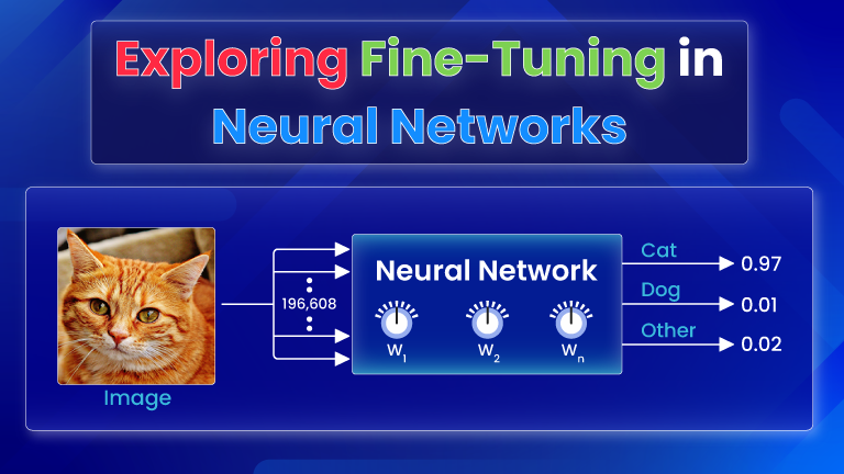 Exploring Fine-tuning in Neural Networks Exploring Fine-tuning in Neural Networks