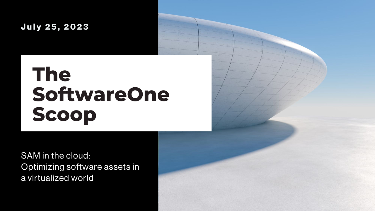 SAM in the cloud: Optimizing software assets in a virtualized world SAM in the cloud: Optimizing software assets in a virtualized world