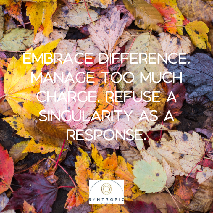 Embrace difference. Manage too much charge. Refuse a singularity as a ... Embrace difference. Manage too much charge. Refuse a singularity as a ...