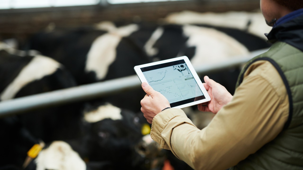 Novel research advancements and applications for production, management ... Novel research advancements and applications for production, management ...