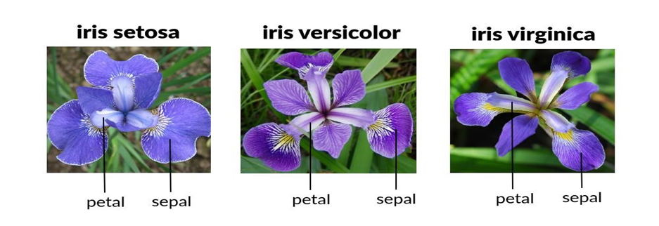 Classification of Iris Dataset using Logistic Regression Classification of Iris Dataset using Logistic Regression
