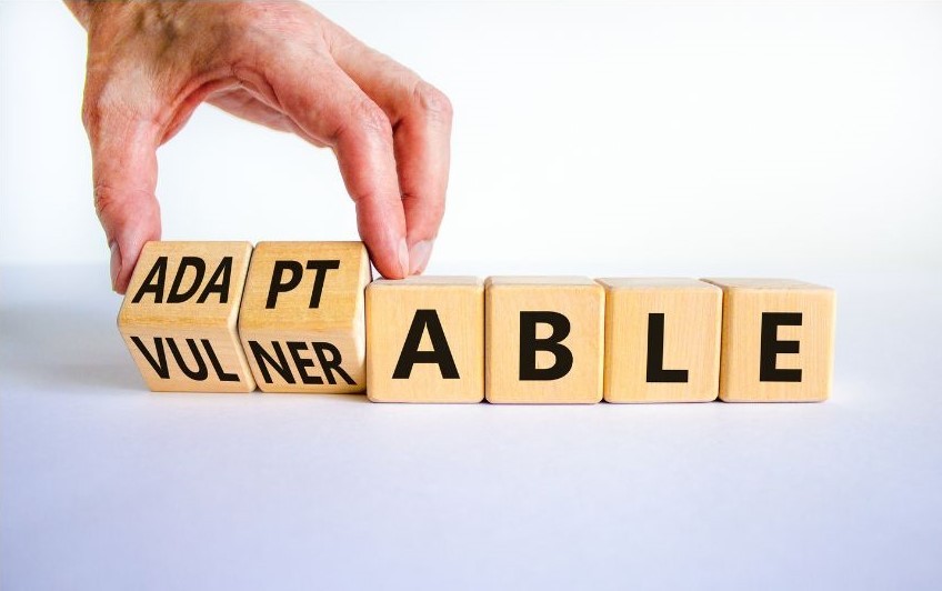 A vulnerability in the LiteSpeed plugin for WordPress poses a risk to 5 ... A vulnerability in the LiteSpeed plugin for WordPress poses a risk to 5 ...