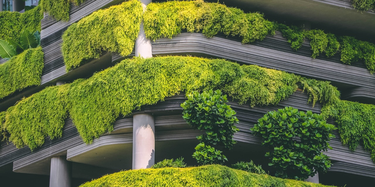 What’s the difference between net zero and zero carbon? What’s the difference between net zero and zero carbon?