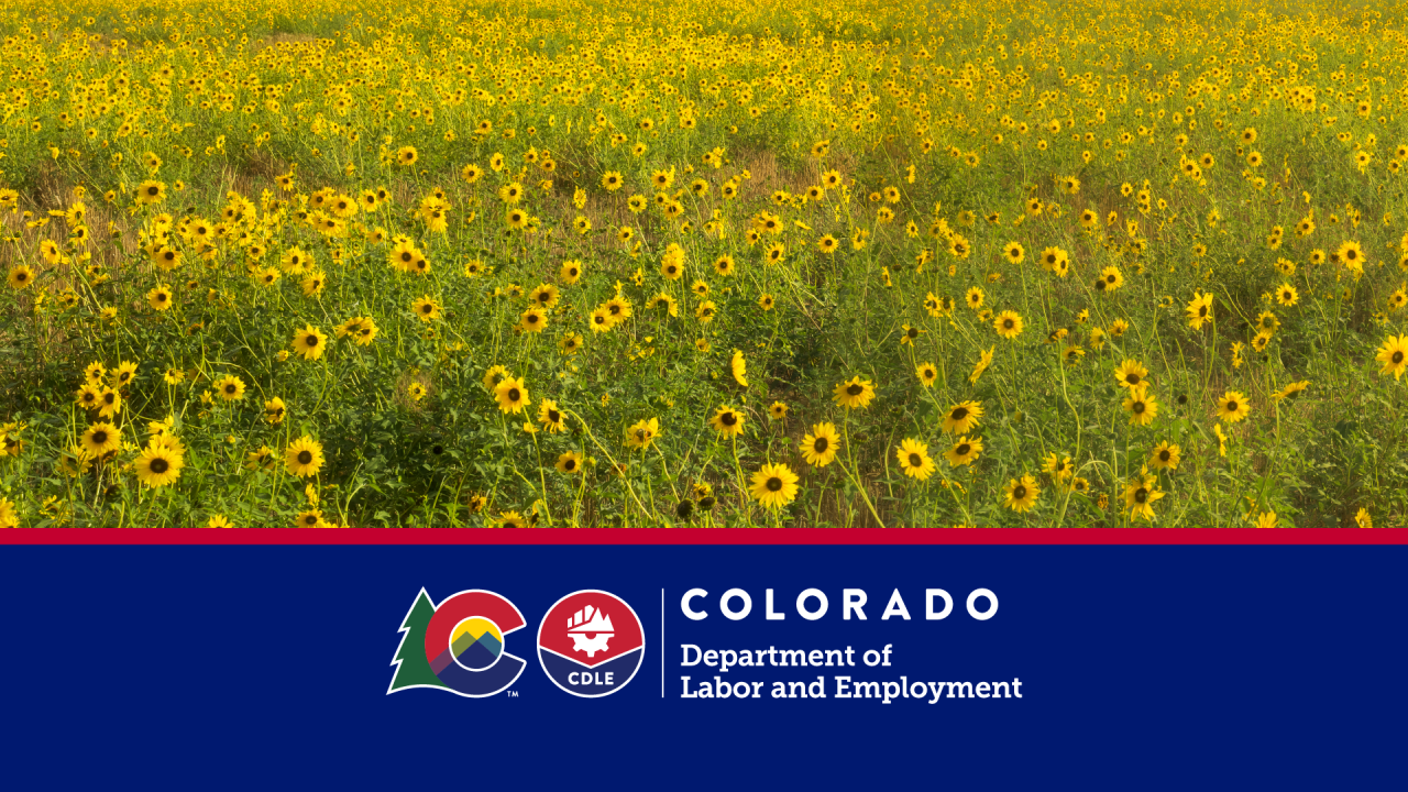 Need Help Completing the Unemployment Identity Verification Process? Need Help Completing the Unemployment Identity Verification Process?