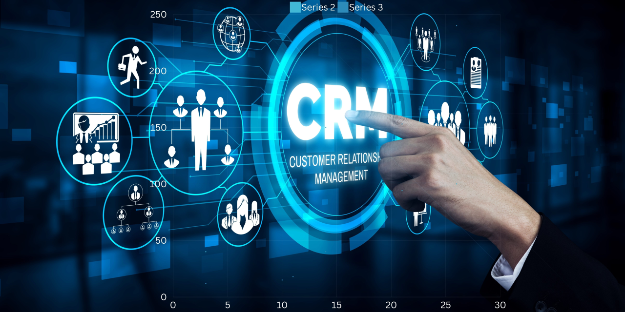 Maximizing Profitability through Effective CRM Strategies Maximizing Profitability through Effective CRM Strategies