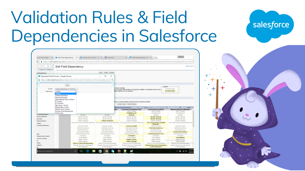Implementing Validation Rules and Field Dependencies in Salesforce Implementing Validation Rules and Field Dependencies in Salesforce