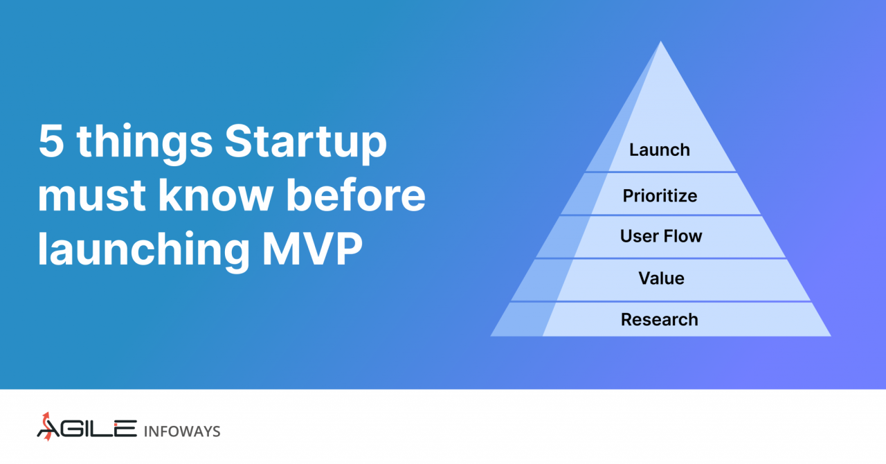 5 things Startup must know before launching MVP 5 things Startup must know before launching MVP