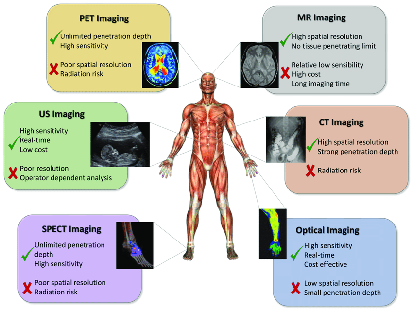 MOLECULAR IMAGING APPLICATIONS MOLECULAR IMAGING APPLICATIONS