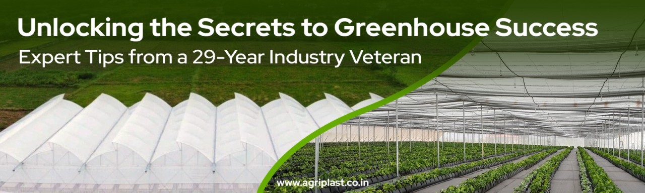 Unlocking the Secrets to Greenhouse Success: Expert Tips from a 29-Year ... Unlocking the Secrets to Greenhouse Success: Expert Tips from a 29-Year ...