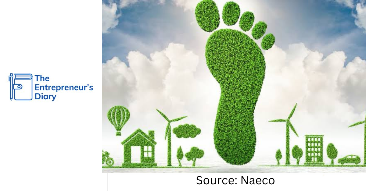 7 ways Businesses and Individuals can Improve Their Environmental Footprint 7 ways Businesses and Individuals can Improve Their Environmental Footprint