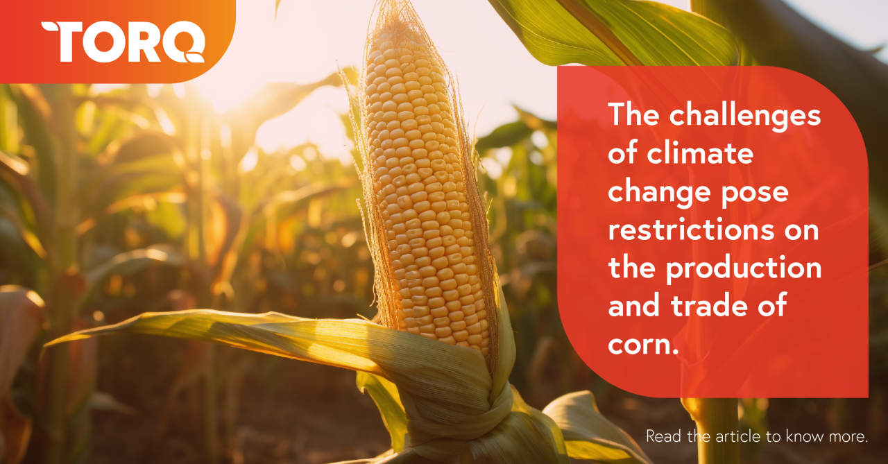 Exploring the Relationship Between Climate Change and Corn Exploring the Relationship Between Climate Change and Corn