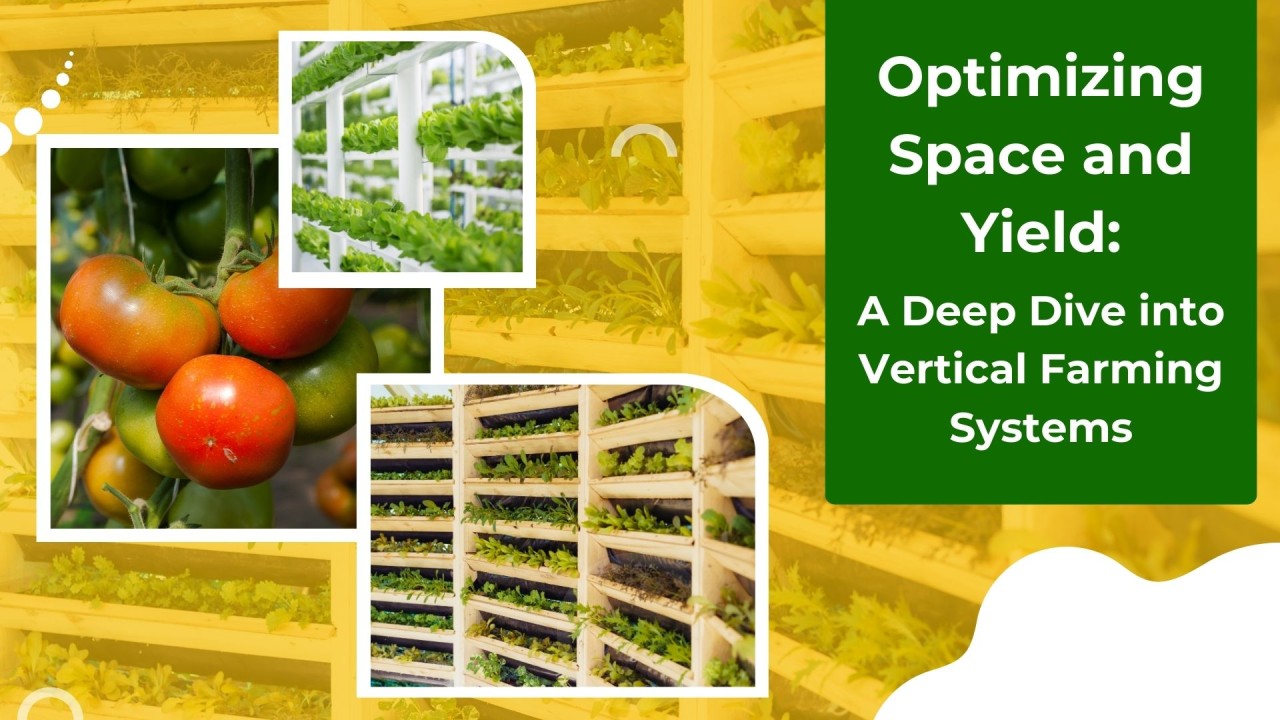 Optimizing Space and Yield: A Deep Dive into Vertical Farming Systems Optimizing Space and Yield: A Deep Dive into Vertical Farming Systems