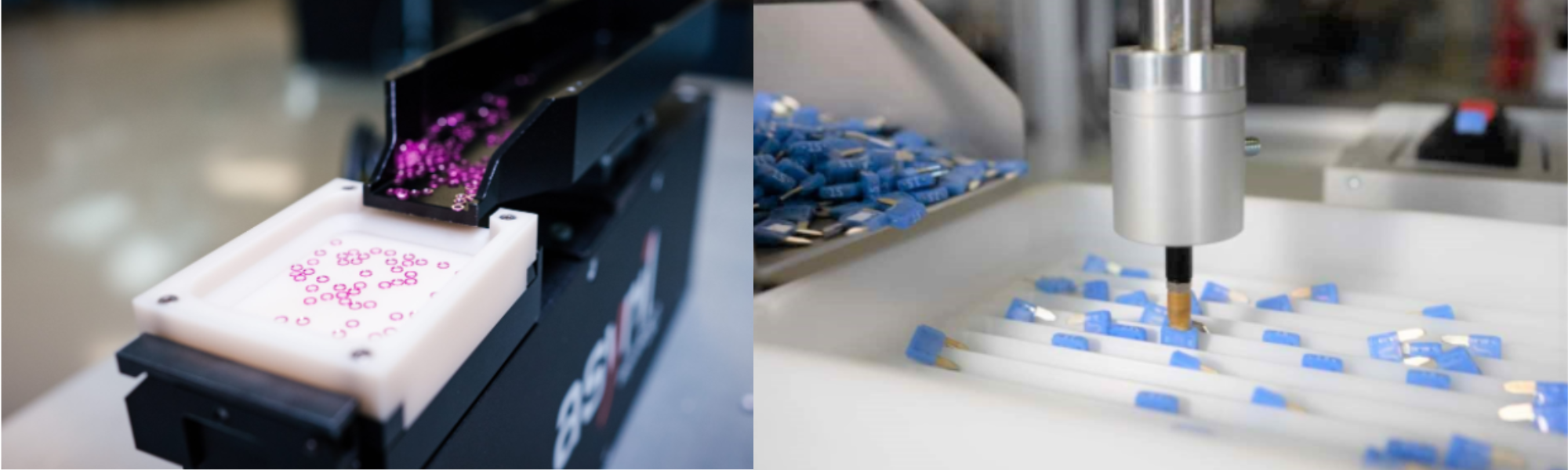 Maximizing Integration Efficiency with Advanced Feeding Solutions Maximizing Integration Efficiency with Advanced Feeding Solutions