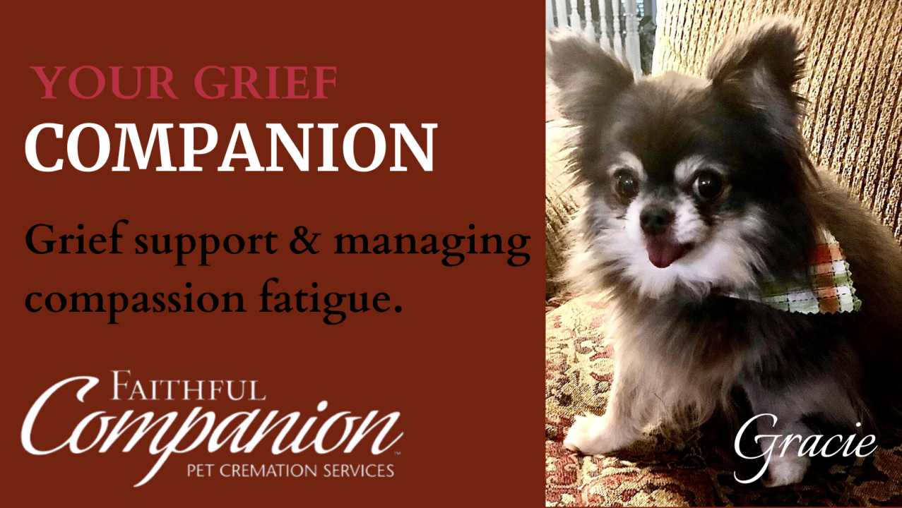 Grief Support & Managing Compassion Fatigue Grief Support & Managing Compassion Fatigue