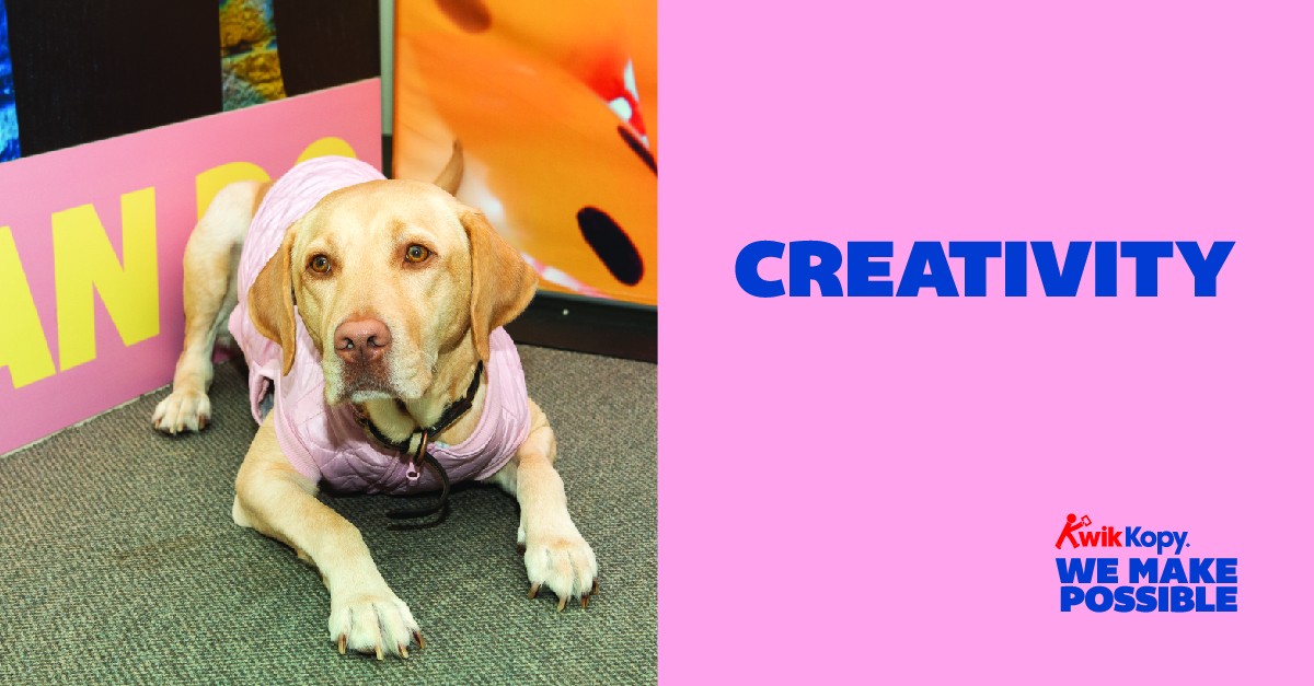 How a Pawsitive Work Environment Sparks Creativity and Boosts Productivity How a Pawsitive Work Environment Sparks Creativity and Boosts Productivity