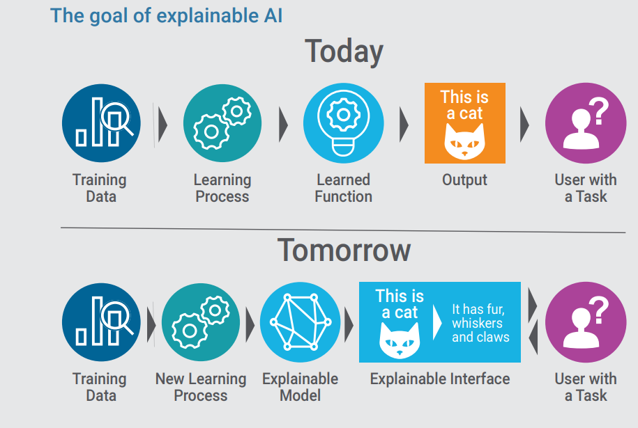 Explaining Explainable AI: A Fun Introduction Explaining Explainable AI: A Fun Introduction