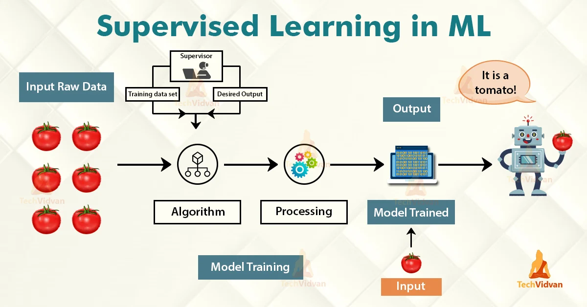 Supervised Learning Algorithms Supervised Learning Algorithms