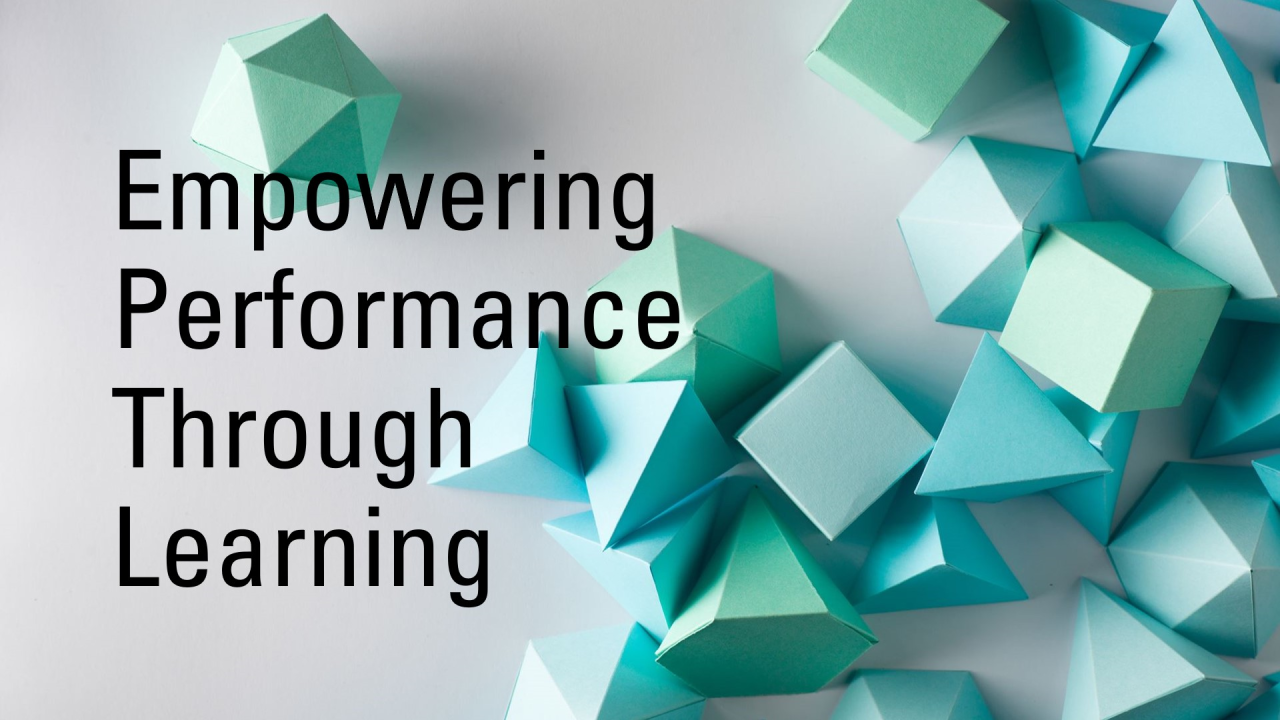 Enhancing Organizational Performance through Performance Consulting. Enhancing Organizational Performance through Performance Consulting.