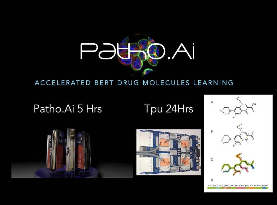 Accelerated BERT Learning Drug Discovery using Patho.Ai Platform. Accelerated BERT Learning Drug Discovery using Patho.Ai Platform.