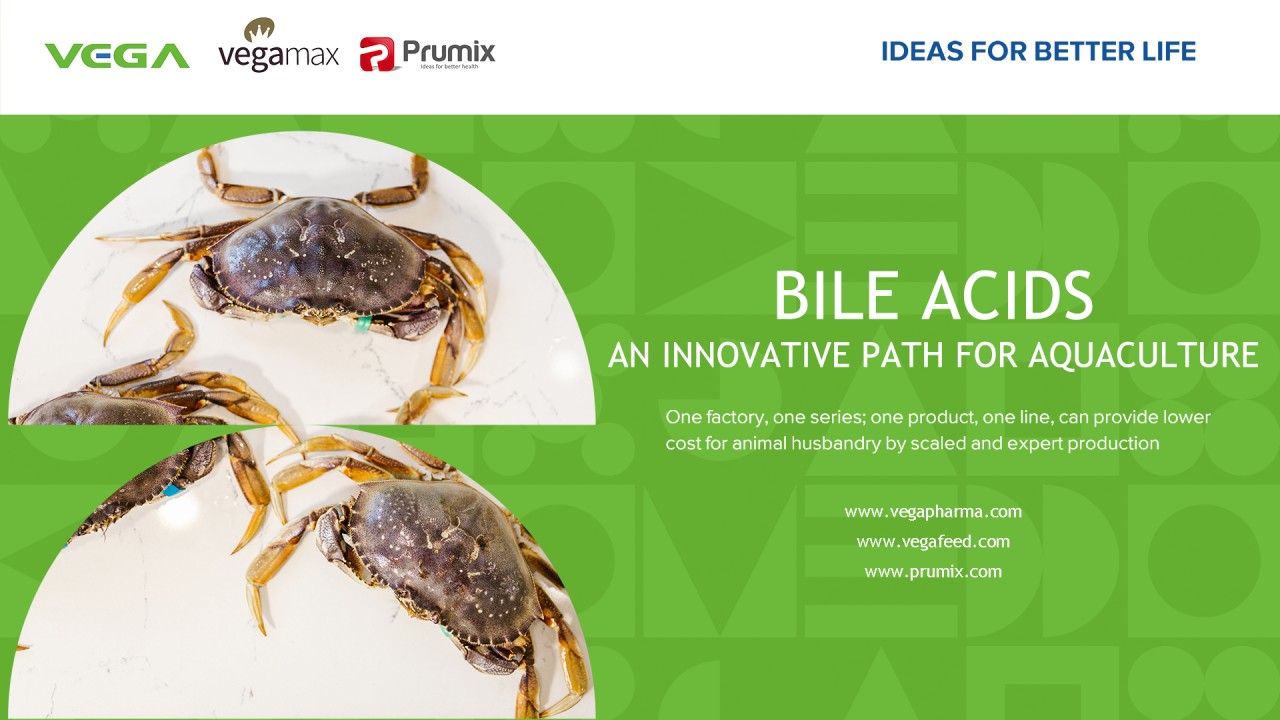 Feed grade bile acids: an innovative path for aquaculture Feed grade bile acids: an innovative path for aquaculture