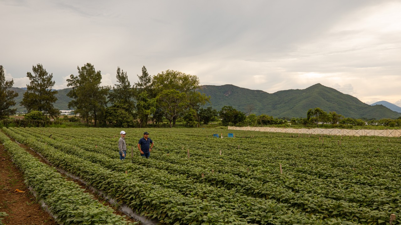 The Importance of Transparency in Food Production The Importance of Transparency in Food Production