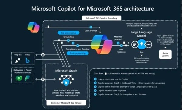 Navigating Security with Microsoft CoPilot: Custom vs. Standard Solutions Navigating Security with Microsoft CoPilot: Custom vs. Standard Solutions