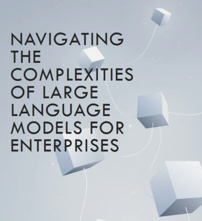 The Challenges of Customizing LLM for Enterprises The Challenges of Customizing LLM for Enterprises