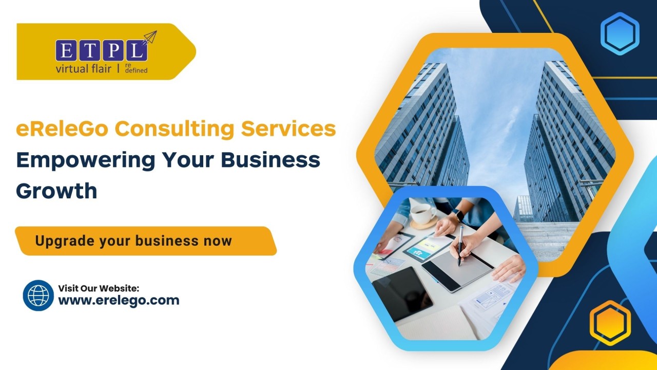 eReleGo Consulting Services: Empowering Your Business Growth eReleGo Consulting Services: Empowering Your Business Growth