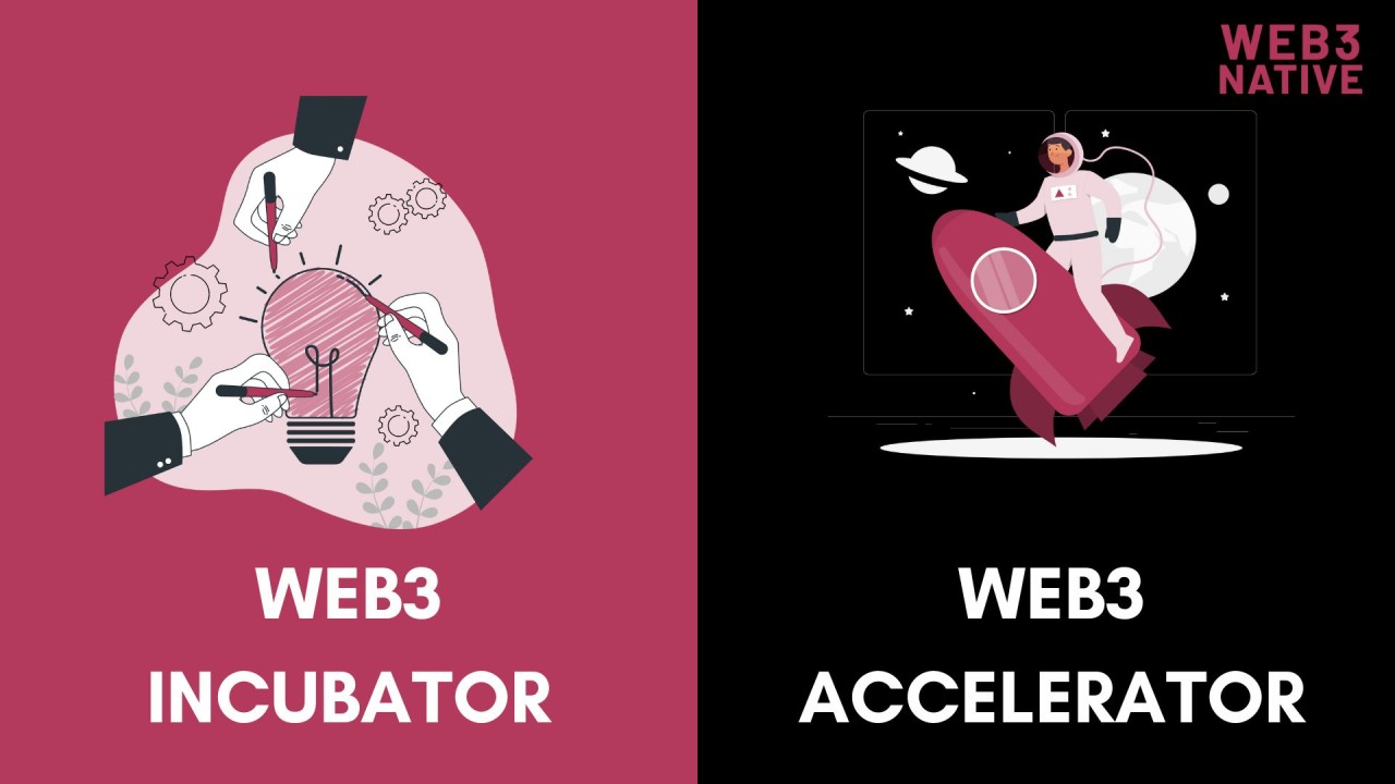 Web3 Incubators vs. Accelerators: Understanding the Differences and ... Web3 Incubators vs. Accelerators: Understanding the Differences and ...