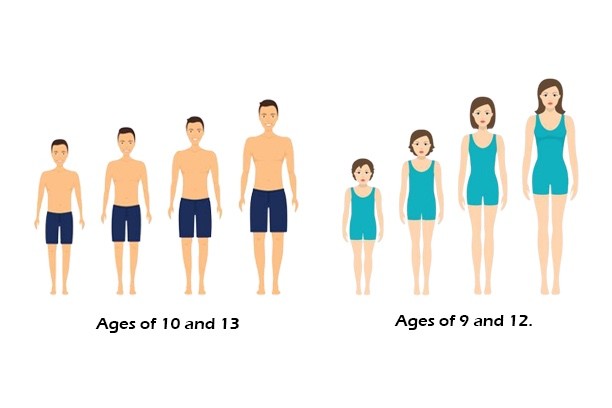UNDERSTANDING YOUR BODY DURING PUBERTY UNDERSTANDING YOUR BODY DURING PUBERTY