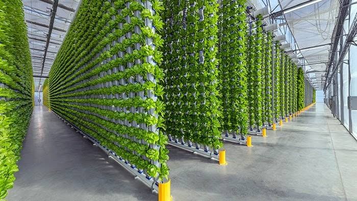 VERTICAL FARMING VERTICAL FARMING
