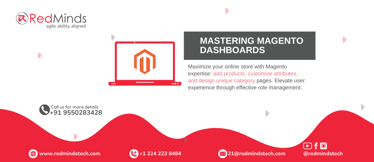 Maximizing Your eCommerce Potential: Mastering Magento Dashboards with ... Maximizing Your eCommerce Potential: Mastering Magento Dashboards with ...