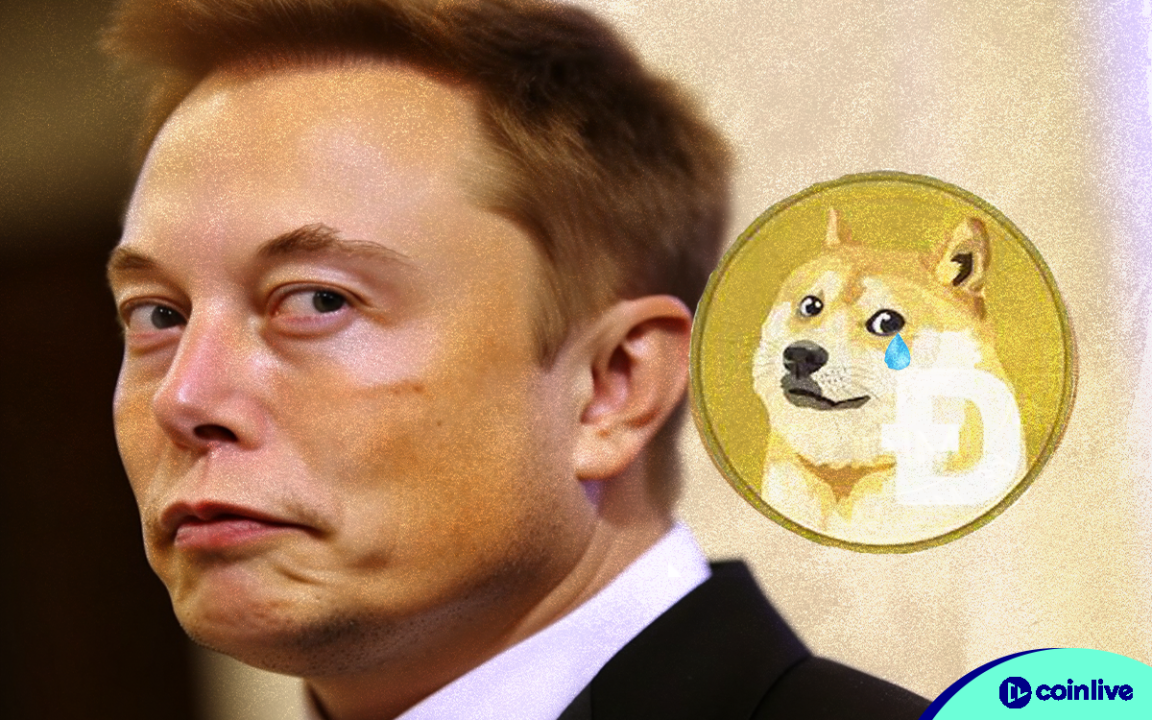 Love Lost? Elon Musk Refutes Claims of Him Being a Dogecoin Whale Love Lost? Elon Musk Refutes Claims of Him Being a Dogecoin Whale