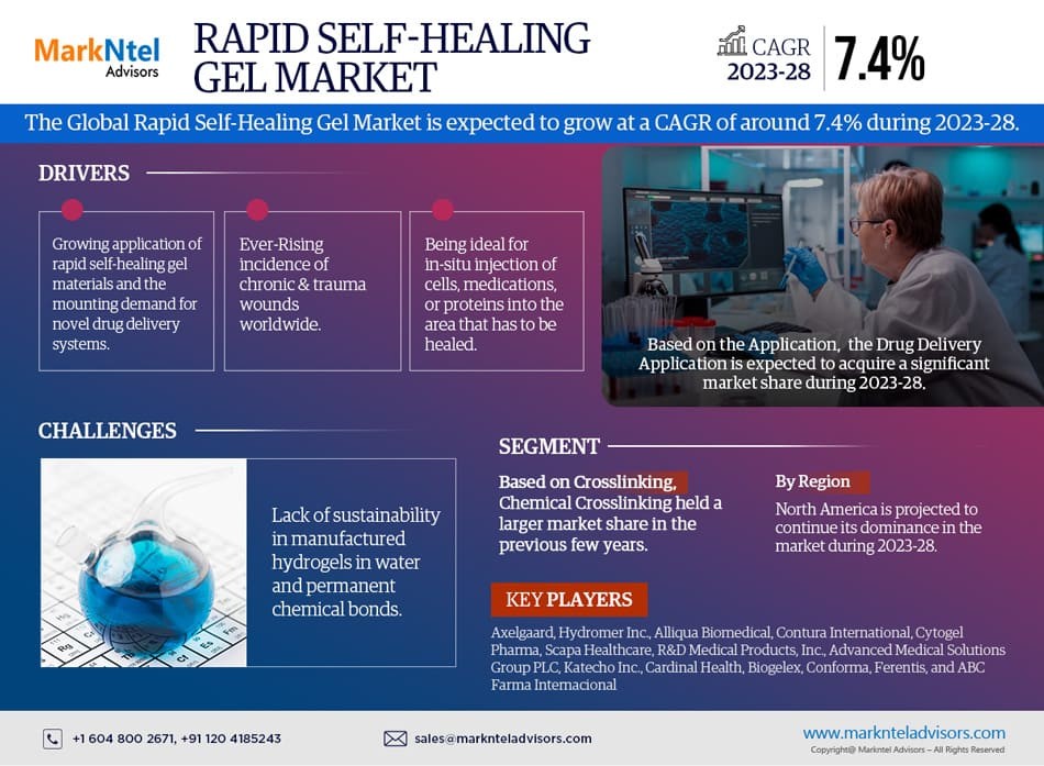 Global Rapid Self-healing Gel Market Research Report: Forecast (2023-2028) Global Rapid Self-healing Gel Market Research Report: Forecast (2023-2028)