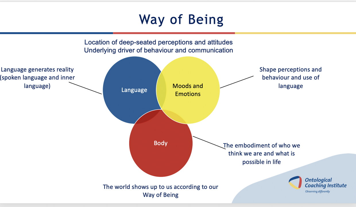 The Transformational Power of Ontological Coaching The Transformational Power of Ontological Coaching