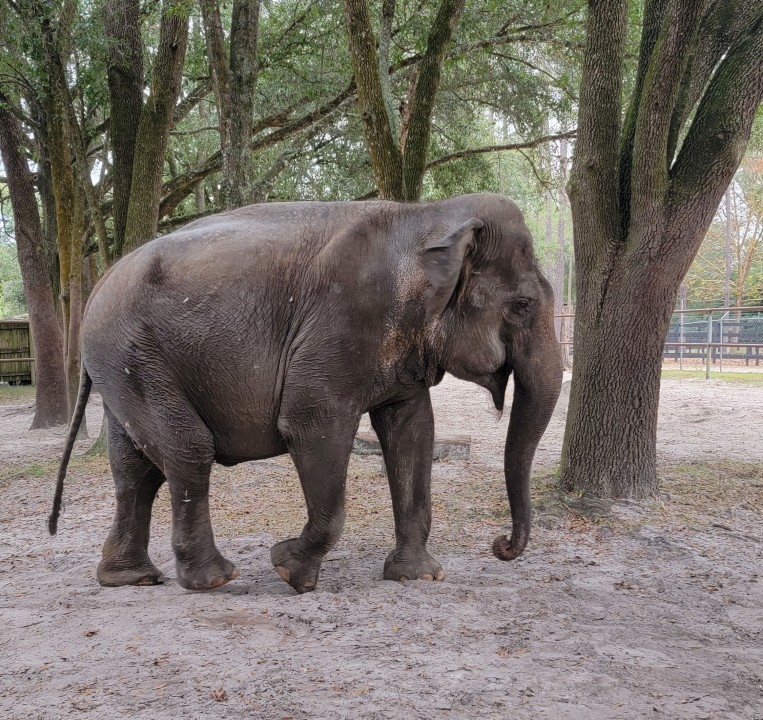 PostgreSQL Indexes: B-Tree PostgreSQL Indexes: B-Tree