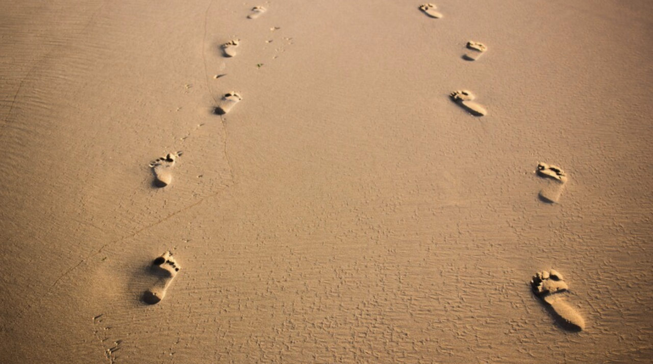 Lost With No Clear Path Forward Lost With No Clear Path Forward
