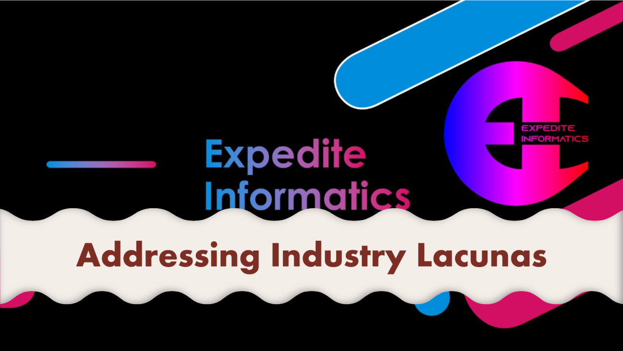Navigating Digital Transformation: Addressing Industry Lacunas Navigating Digital Transformation: Addressing Industry Lacunas