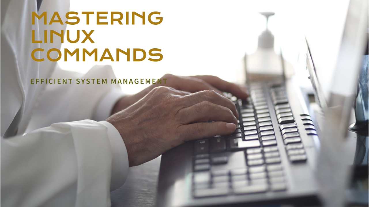 Mastering Linux: Essential Commands for Efficient System Management Mastering Linux: Essential Commands for Efficient System Management