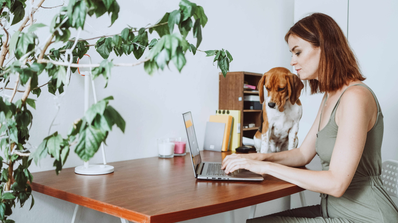 Navigating the Changing Landscape of the Job Market: A Snapshot of the ... Navigating the Changing Landscape of the Job Market: A Snapshot of the ...