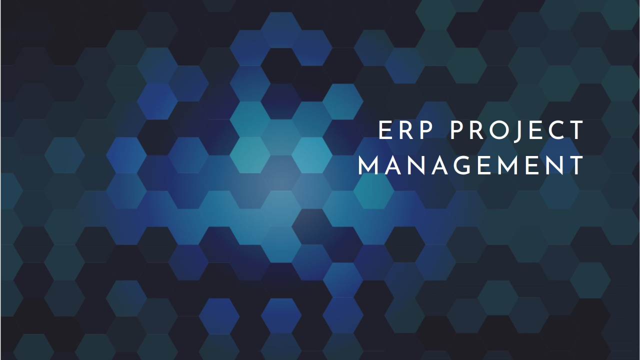 Can an IT Project Manager Effectively Handle an ERP Project, or is an ... Can an IT Project Manager Effectively Handle an ERP Project, or is an ...