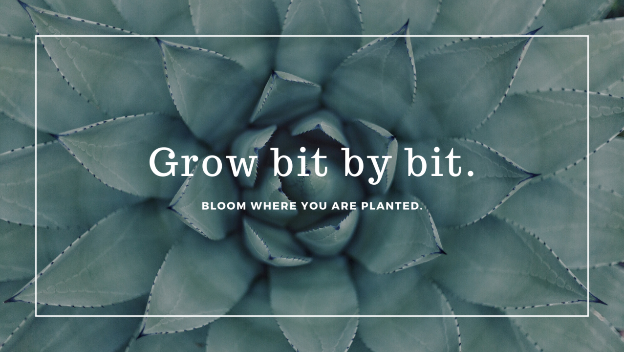 Transforming Discomfort: Embracing Growth and Trust. Transforming Discomfort: Embracing Growth and Trust.